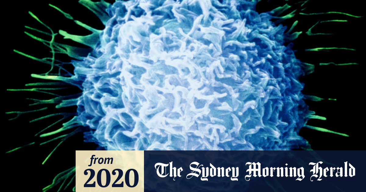 Some cancers 'better left undiscovered', Medical Journal of Australia says